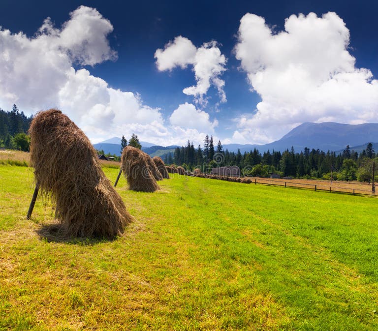 Hay in a village stock photo. Image of haze, fresh, garden - 20743208
