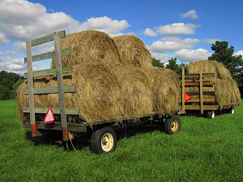 109 Hay Wagons Stock Photos - Free & Royalty-Free Stock Photos from ...