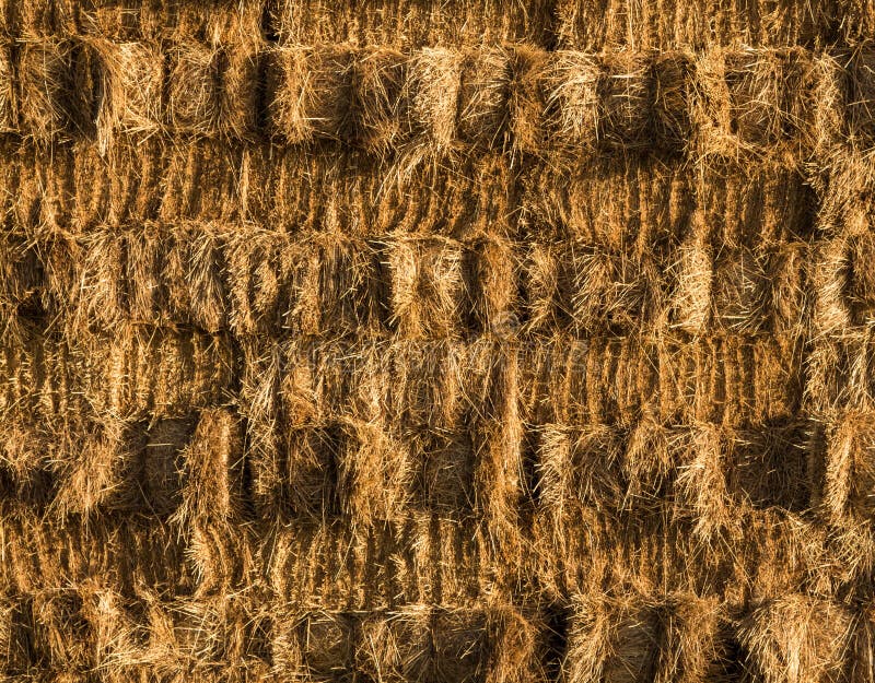 Hay Wall Stack editorial stock image. Image of agriculture - 36732079