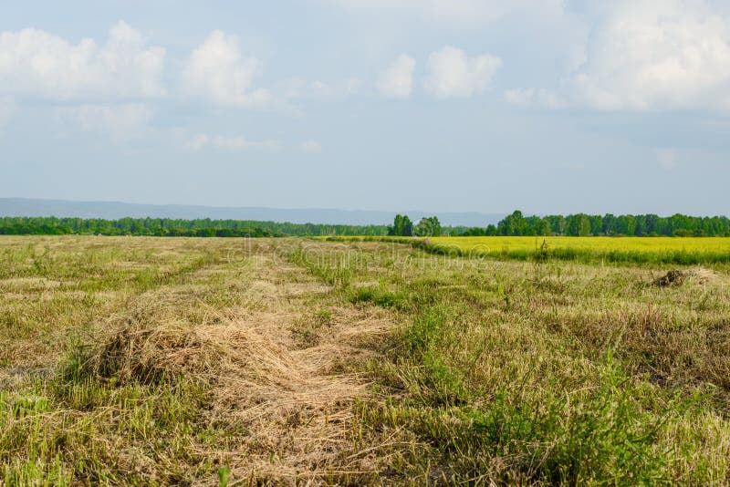 Peaceful Rural Landscape in Wide Field with Country Road Stock Image ...