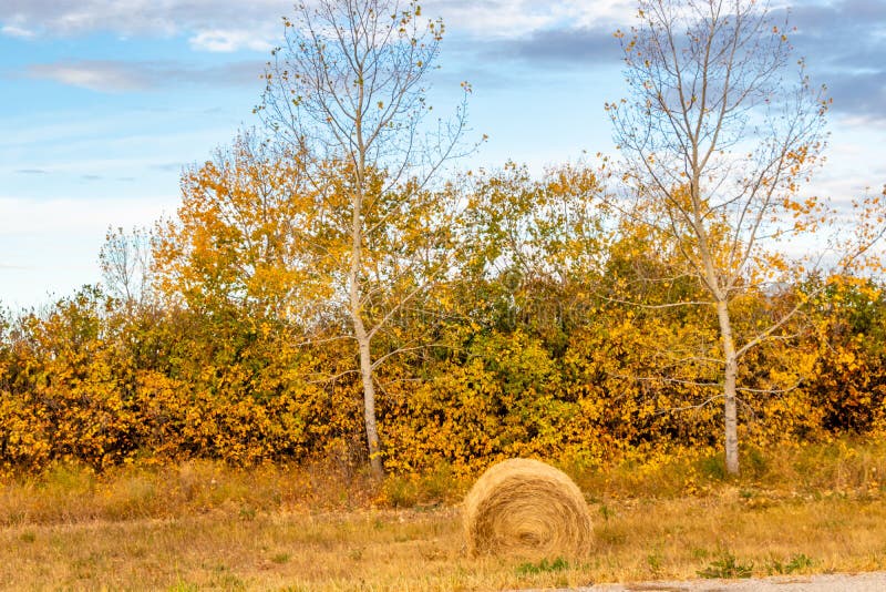 Haybales in Fall Fields. Wheatland County, Alberta, Canada Stock Photo ...