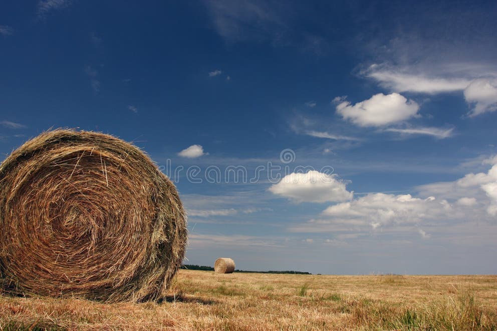 Hayball stock photo. Image of europe, farming, crop, stack - 20230476