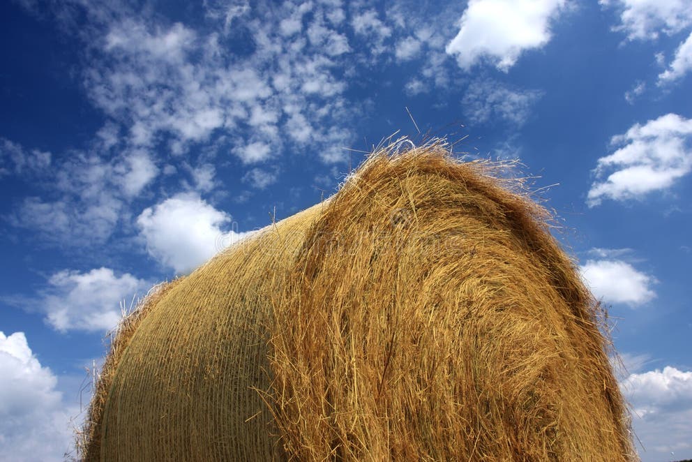 Hayball stock photo. Image of europe, haystack, agriculture - 20230506