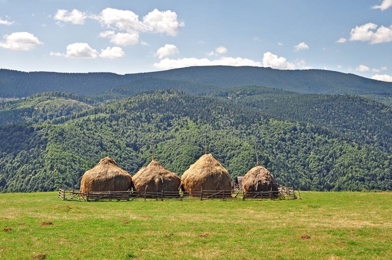 Haycock foto de archivo. Imagen de secado, heno, turno - 21173076