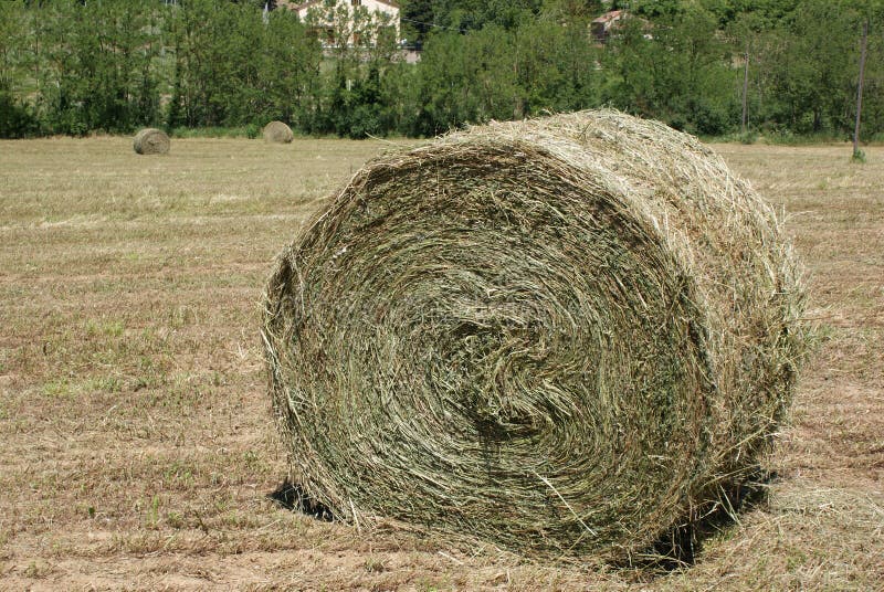 Haycock detail stock image. Image of field, haycock, detail - 14716723