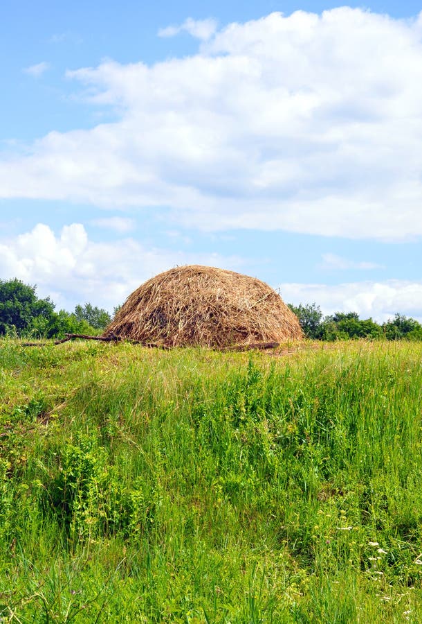 Dry haycock in a field stock photo. Image of hayrick - 13134308