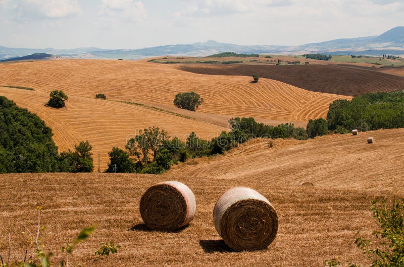 Haycocks stock image. Image of rick, hayrick, storm, field - 597857