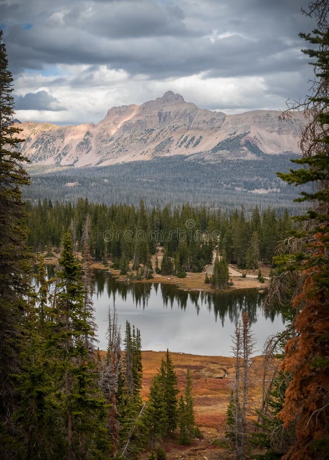 Hayden Mountain Peak in Uinta Wasatch Cache National Forest Stock Photo ...