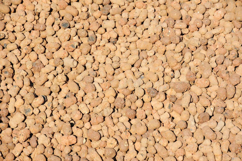 Textura De Um Haydite Vermelho. Argila Expandida é Um Material De ...