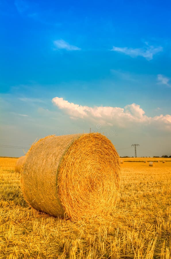 Haye bale stock image. Image of chaff, crop, husbandry - 58585553