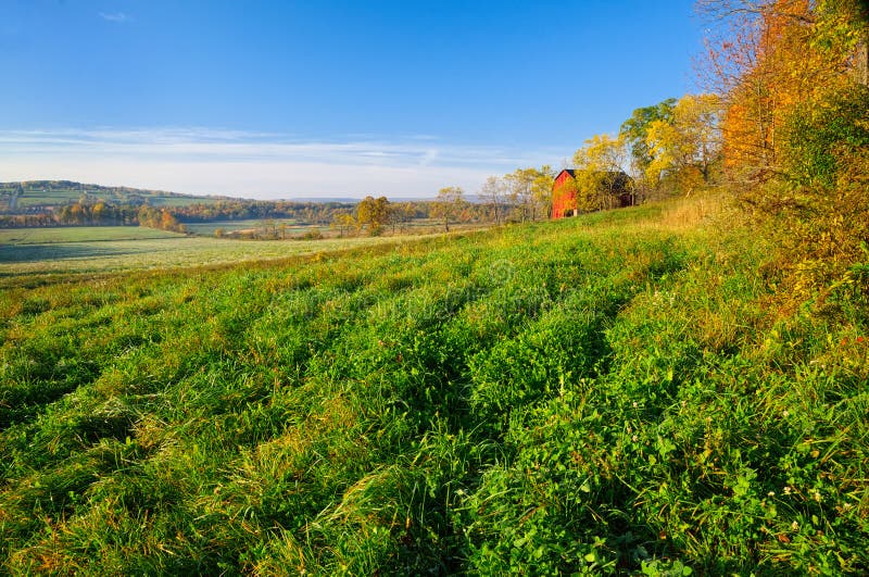 Hayfield and Barn stock image. Image of horizontal, barn - 28392401