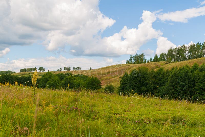 Hayfields in Summer. Hilly Area with Fields and Trees. Summer Landscape ...