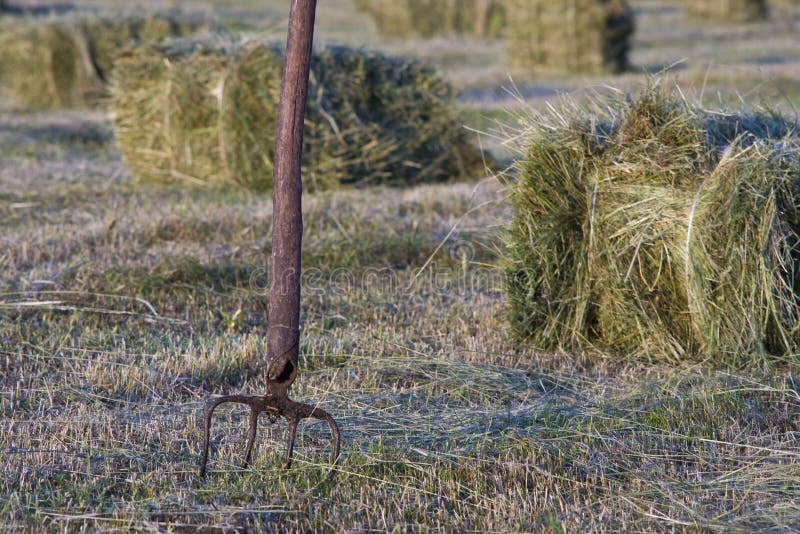 Hayfork stock photo. Image of village, hayfork, countryside - 5215094