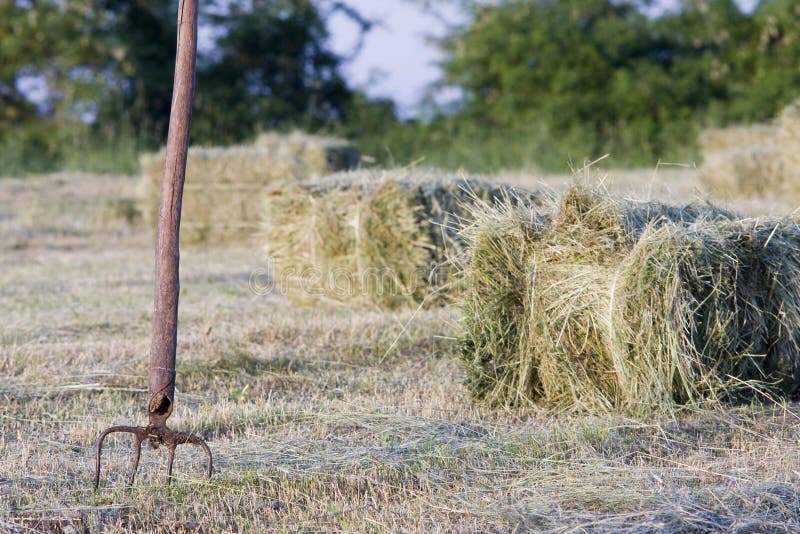 Hayfork Picture. Image: 5215342