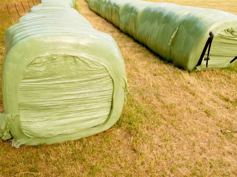 Haylage Bales Left Outdoors for Fermentation Stock Photo - Image of ...