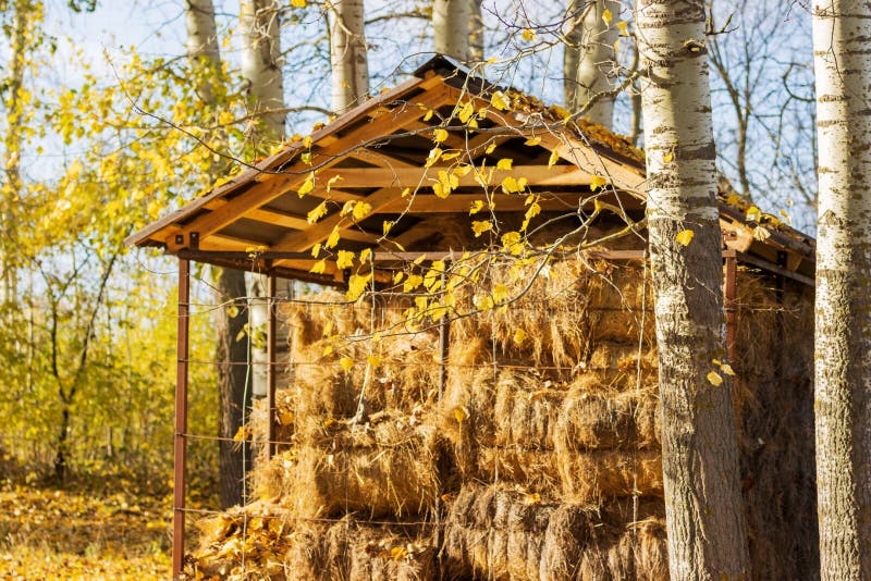 Inside Vintage Hay Loft Stock Photos - Free & Royalty-Free Stock Photos ...