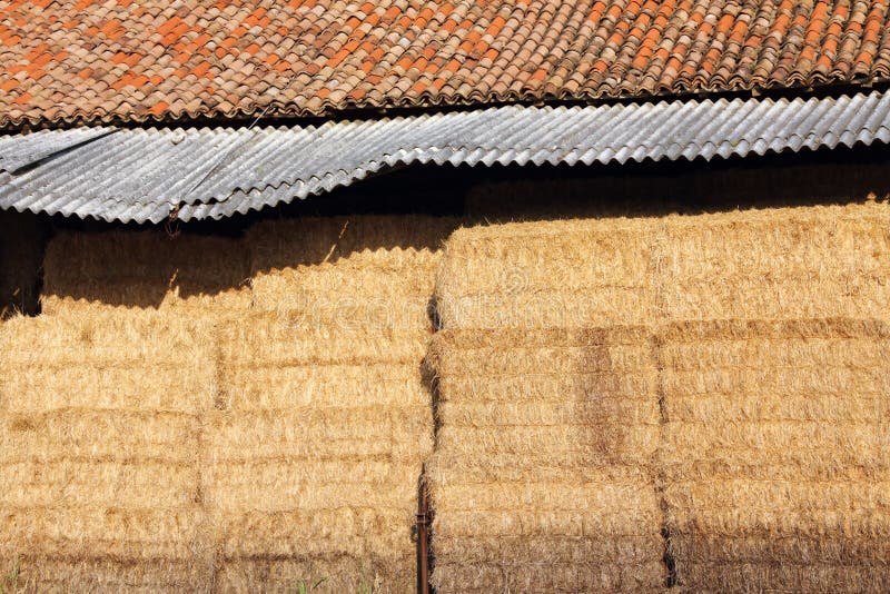 Hayloft and hay stock photo. Image of background, yellow - 16069898