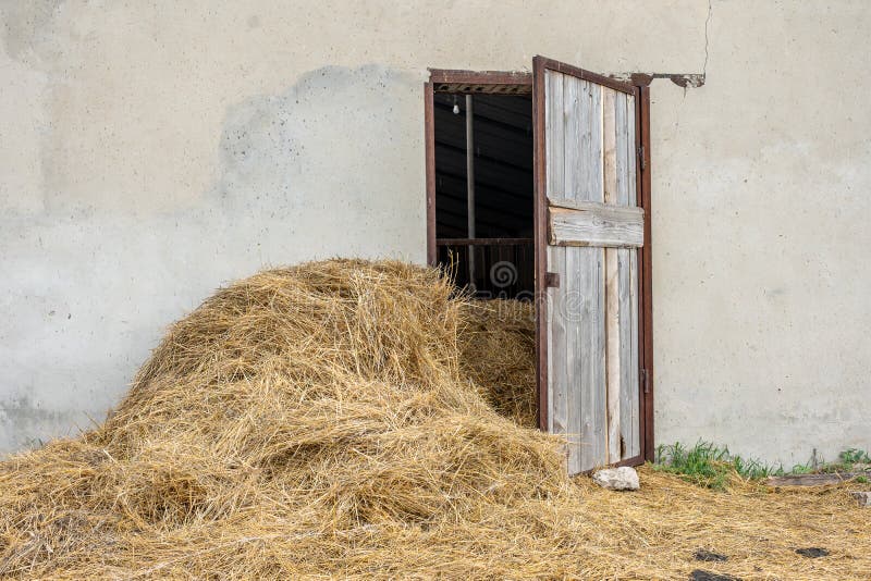 The Hayloft. a Haystack in the Barn Door Stock Photo - Image of rustic ...