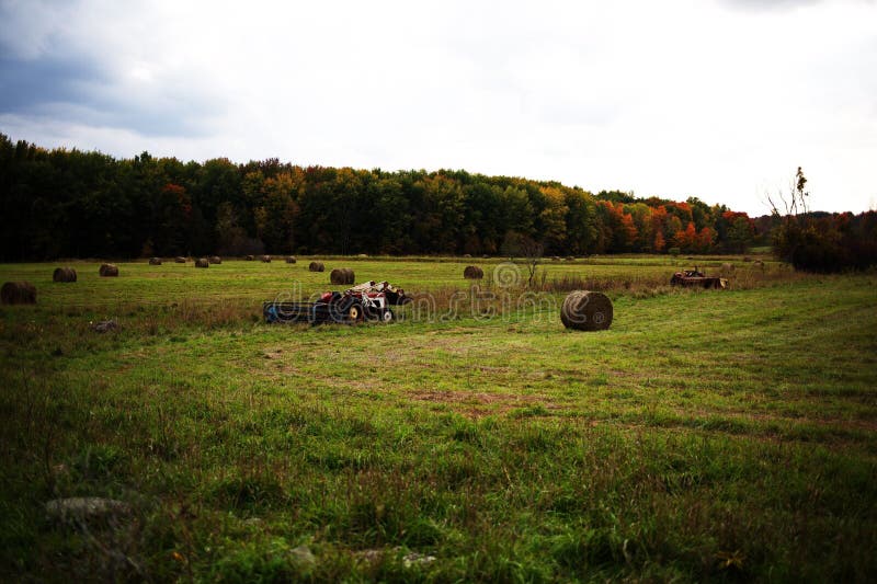 Haymaker Tractor in a Green Field with Stacks of Hay, and a Dense ...