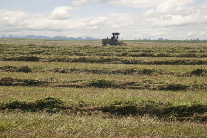Haymaking stock photo. Image of haymaking, field, machine - 15752140