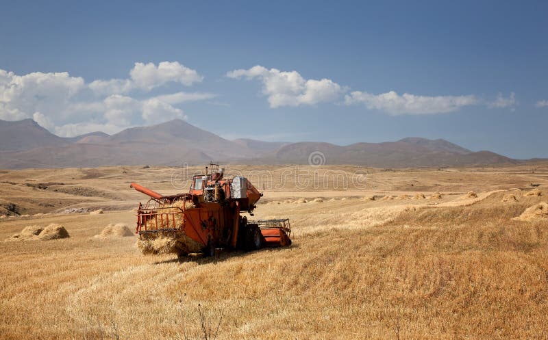 Haymaking in the Fields of Armenia Stock Image - Image of harvesting ...