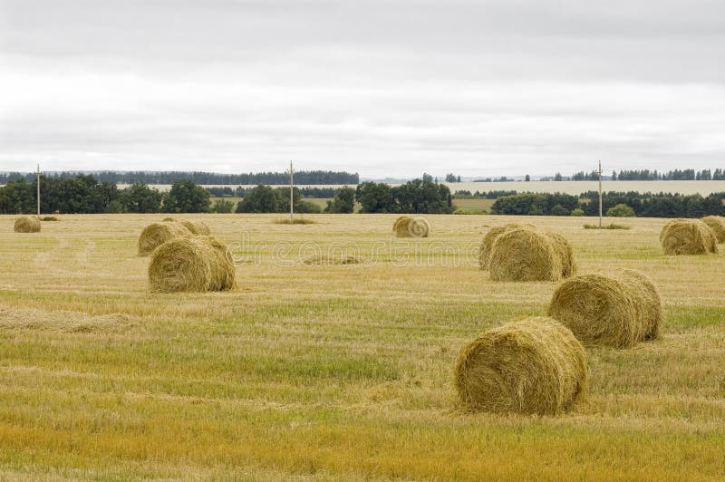 The haymaking is finished stock photo. Image of farm - 10693876