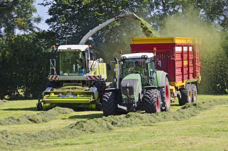Haymaking, Forage Harvester Stock Photo - Image of farmland, haymaking ...