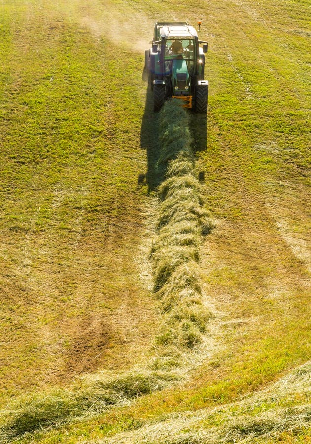 Haymaking on a Hillside with Rows of Hay, a Hay Tedder and a Hay-loader ...