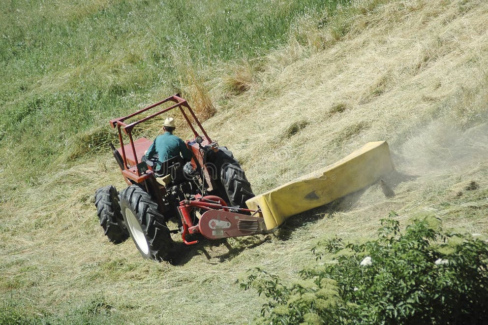 Haymaking stock image. Image of haymaking, field, agriculture - 54723027