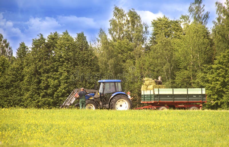 Haymaking in Summer, Tractor, People Working, Lithuania Editorial Image ...