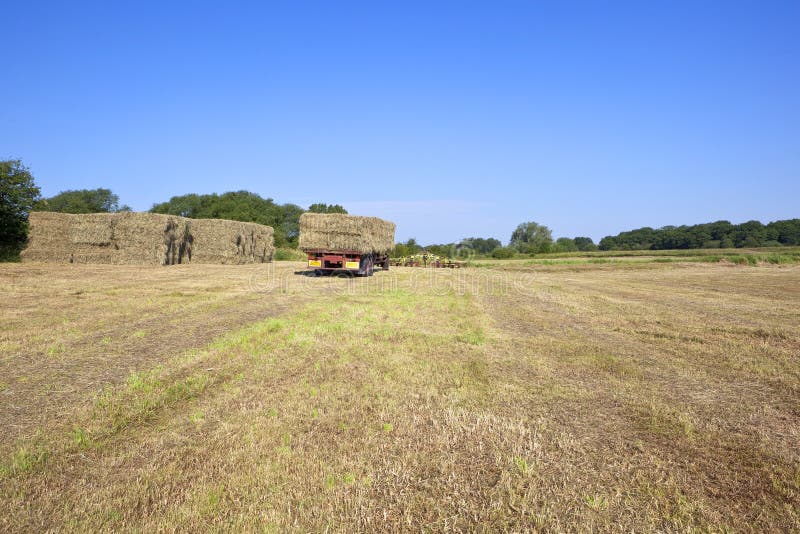Haymaking time 2 stock photo. Image of outdoors, rural - 20163072