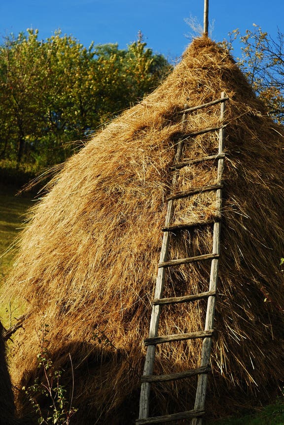 Hayrick stock photo. Image of tall, dried, straw, rural - 16798900