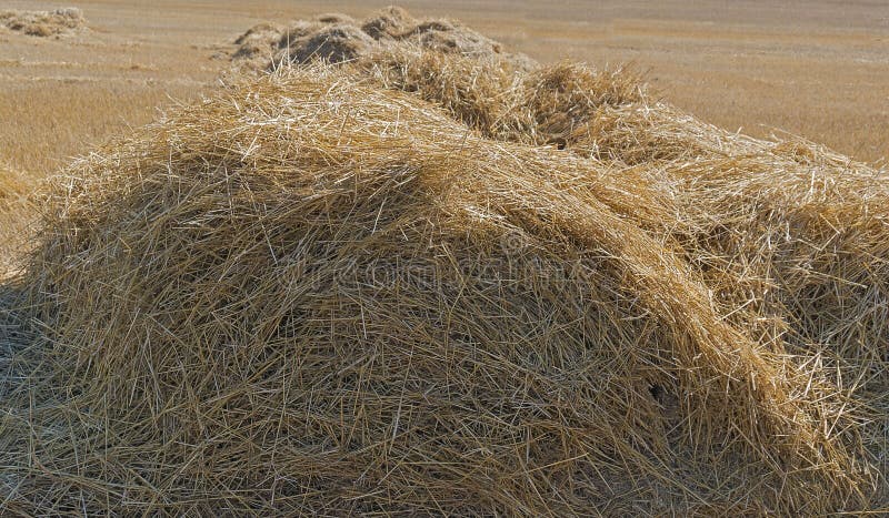 Hayrick autumn landscape stock image. Image of land - 175591661