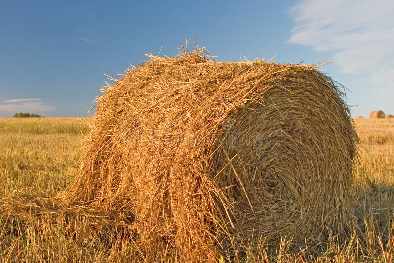 Hayrick close-up stock image. Image of haulm, water, summertime - 317787