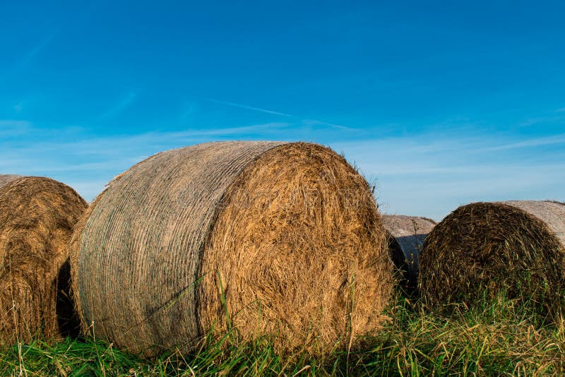 Hayrick stock photo. Image of landscape, angle, camp - 10812780
