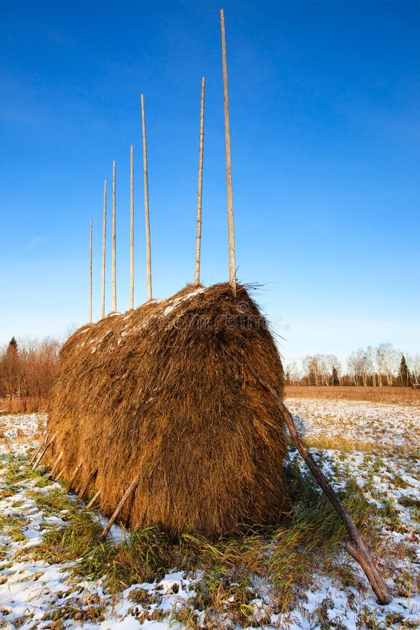 Hayrick in Russia stock image. Image of haying, hayfield - 1392697