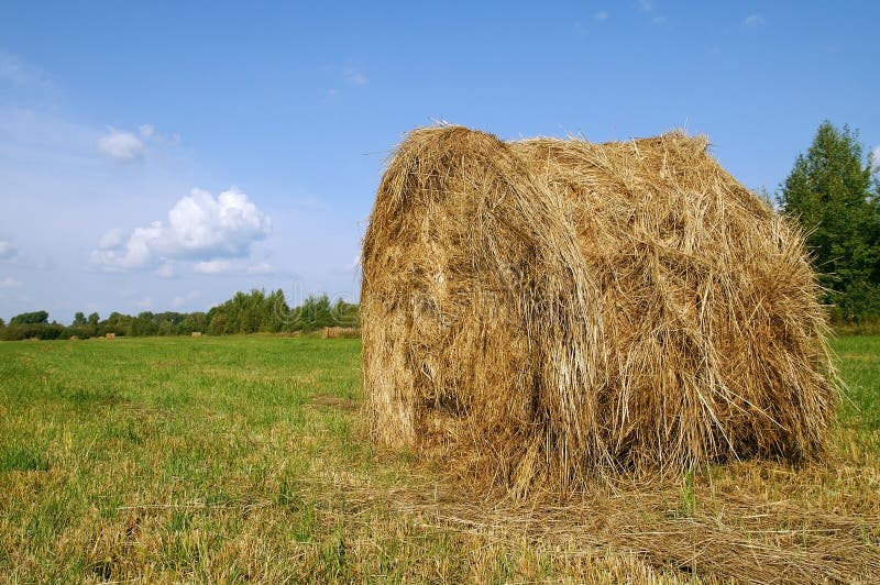Hayrick On A Meadow Picture. Image: 11007285