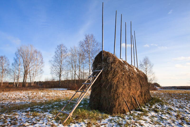 Hayrick on meadow stock image. Image of outside, ricker - 47580653