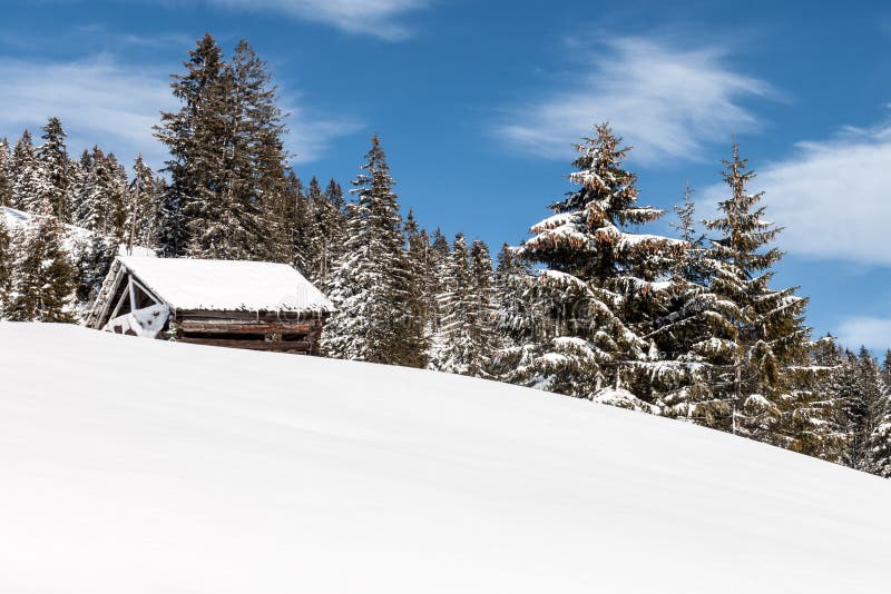 Hayrick in winter stock image. Image of trees, hill, white - 49673227