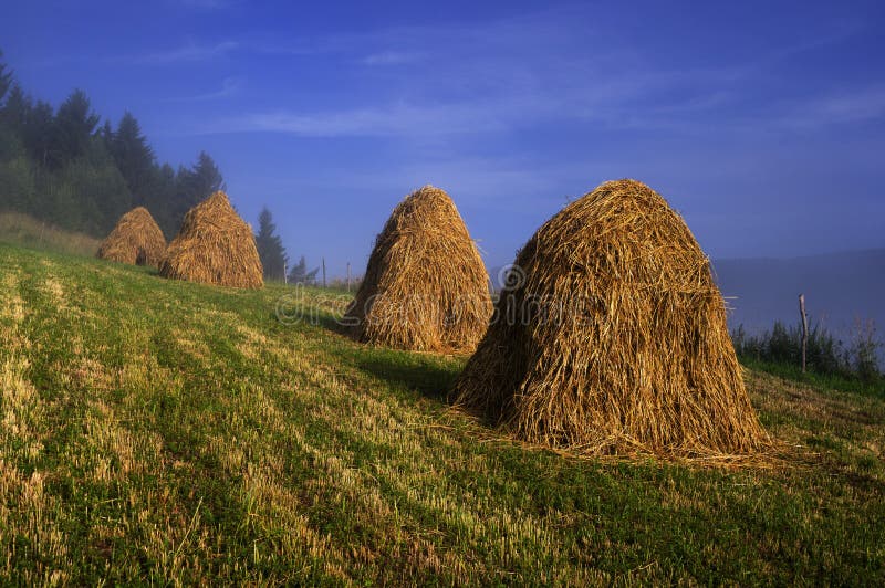 Hayricks arkivfoto. Bild av slovakia, hayrick, traditionellt - 86818038