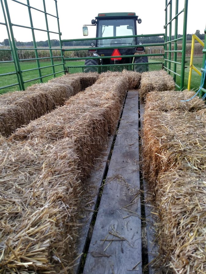 Hayride Fun stock photo. Image of wagon, hayride, tractor - 173039908
