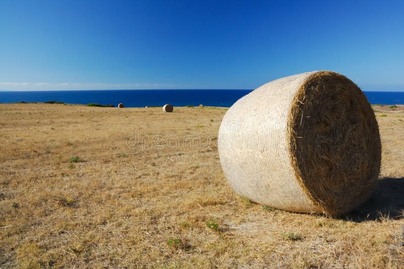 Haystack 1 stock photo. Image of ground, agriculture - 16397400