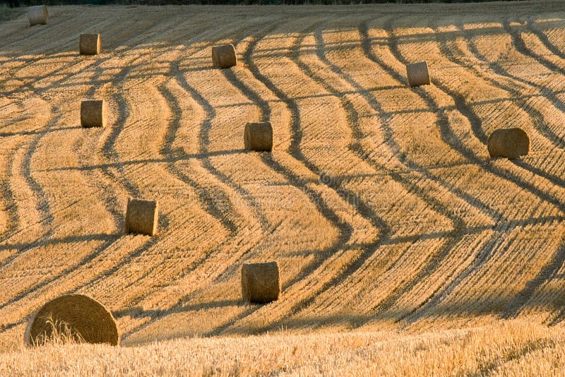 Haystack stock image. Image of harvesting, harmony, hayrick - 10253371