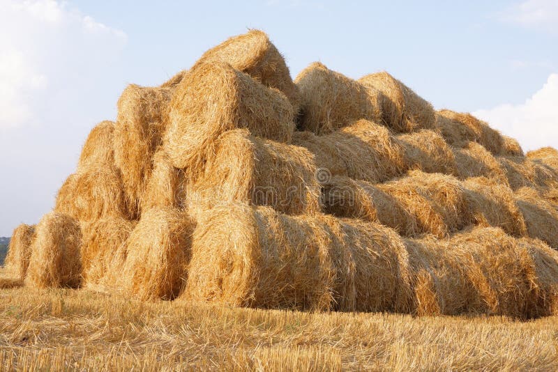 Haystack stock photo. Image of coloured, haystack, firmament - 10633836 Haystack stock photo. Image of coloured, haystack, firmament - 10633836