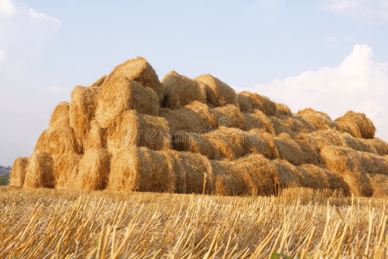 Big haystack at field stock photo. Image of agriculture - 18261306
