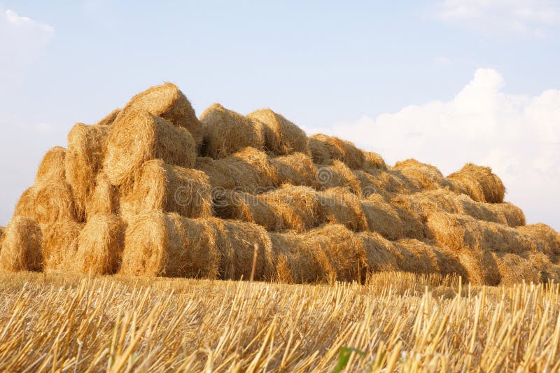 Haystack Stock Images - Image: 11114864