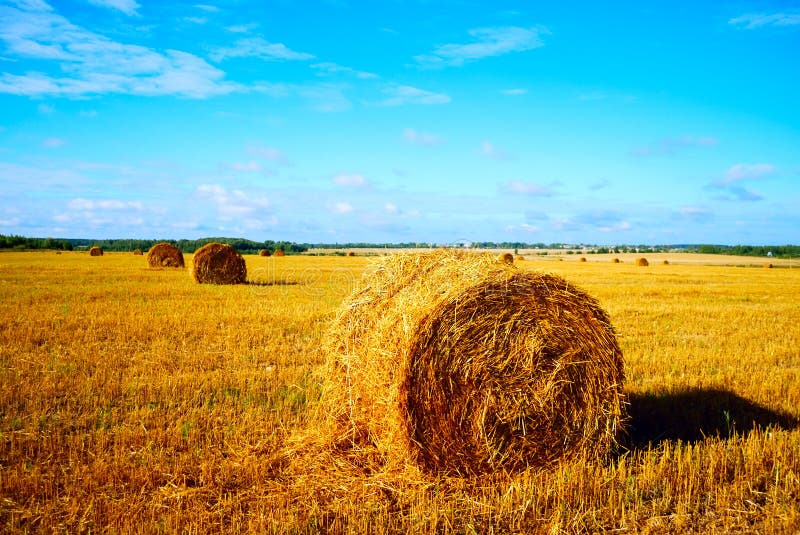 Haystack stock photo. Image of straw, horizon, landscape - 12867198