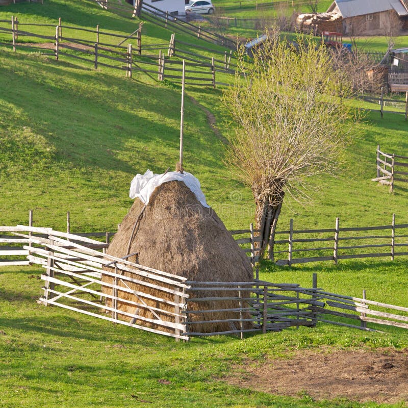 Haystack stock photo. Image of circle, fields, bale, agricultural ...