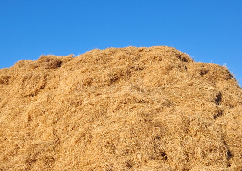 Haystack stock image. Image of crop, land, cereals, nature - 15623985