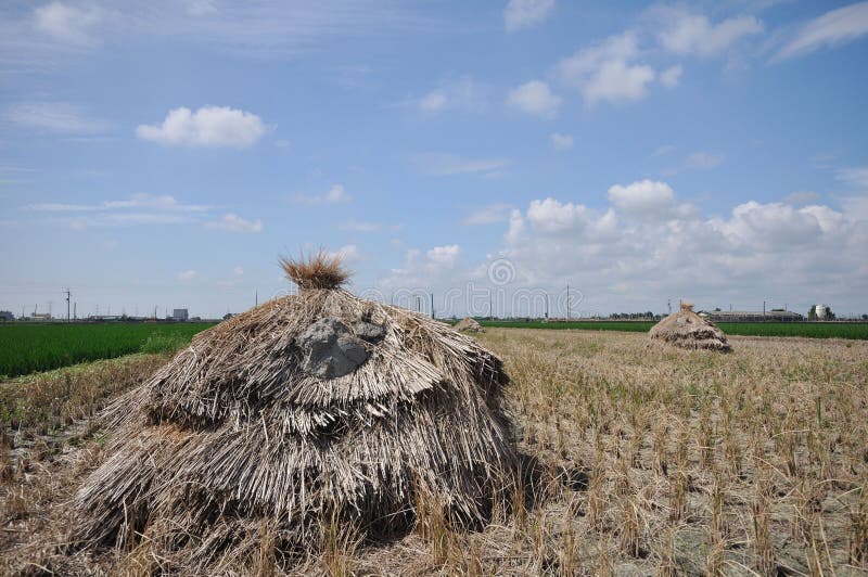 Haystack stock image. Image of haying, countryside, tree - 15634025
